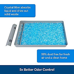 Official PetSafe ScoopFree Complete Reusable Tray - Includes 4.3 lb of Premium Blue Crystal Litter - Compatible with All PetSafe ScoopFree Complete Automatic Self Cleaning Litter Box System