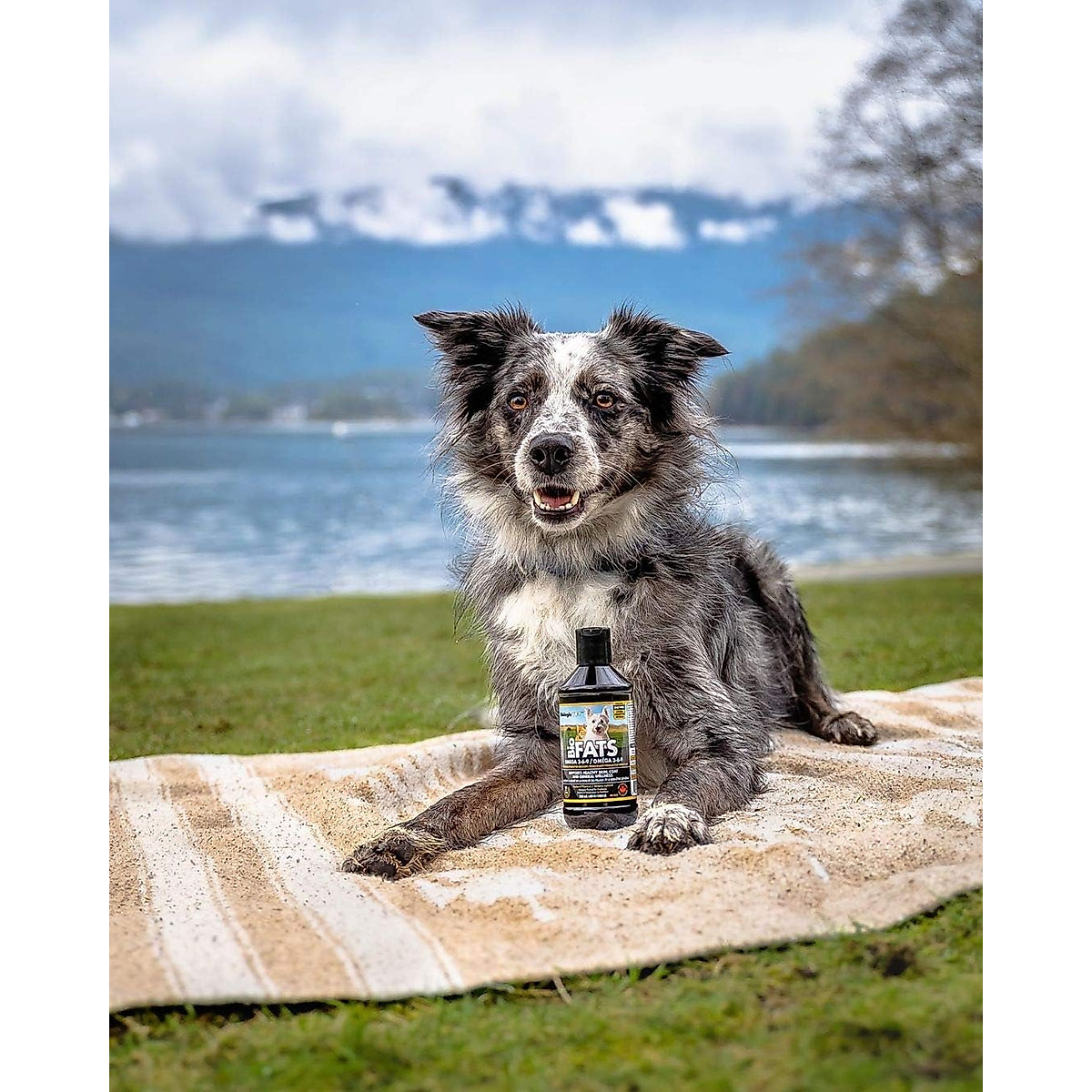 BiologicVET - BioFATS Omega 3-6-9 Fatty Acid with EPA & DHA, Supports Healthy Skin, Coat and General Wellness, 94-Day Supply for 80-lb. Animal, 32-fl. oz. Bottle