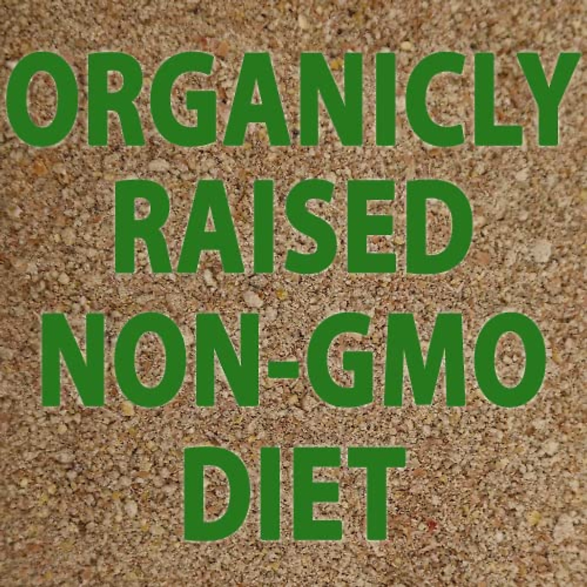 Dubia Roach Colony Starter Kit, 1Lb Organic Feeder Insect Gut Loading Chow, Water Crystals, 6 Egg Flats, for Breeding Insects, Cricket Alternative, for Bearded Dragons, Leopard Geckos, Reptiles