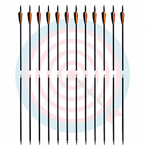 Mxessua 2 Piece Arrows Takedown Carbon Arrows Portable for Takedown Longbow Recurve Compound bow Survival Bow Traveling Spine 500, 12 Pack