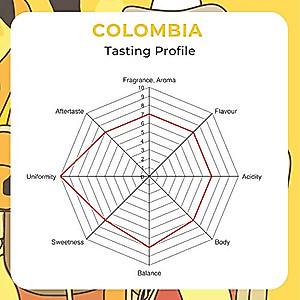 Mondo Drip Coffee (Colombia)