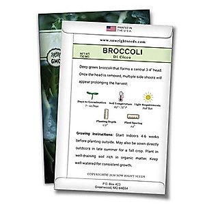 Sow Right Seeds - Broccoli Seed Collection for Planting - Individual Packets Broccoli Di Ciccio, Romanesco, and Waltham 29 Non-GMO Heirloom Seeds to Plant an Outdoor Home Vegetable Garden