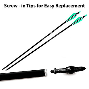 Archery Arrow Field Points Tips - Practice Target & Hunting Arrows Heads for Recurve, Compound Bow & Crossbow Bolts, Screw-in 100 Grain (12 Pack)