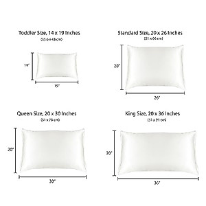 MYK 100% Pure Natural Mulberry Silk Pillowcase, 25 Momme One Side for Hair and Skin Care (King, Ivory White)…