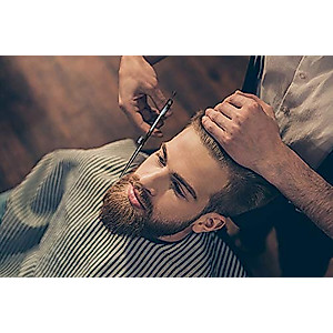 Facón Professional Razor Edge Barber Hair Cutting Scissors - Japanese Stainless Steel - 6.5" Length - Fine Adjustment Tension Screw - Salon Quality Premium Shears (The Alpha)