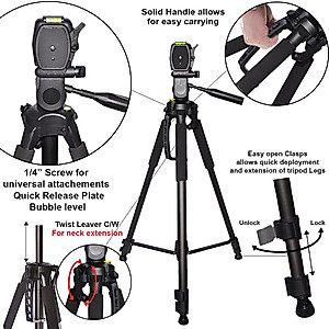 72 Inch Elite Series Professional, Full Size Camera Tripod for Canon, Nikon, Sony, Samsung, Olympus, Panasonic & Pentax + eCost Microfiber Cloth