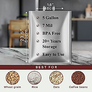WISHMART 10pcs 5 Gallon Mylar Bags for Food Storage 14 mil Large Mylar Bags with Oxygen Absorbers (15 x 2000 cc)|Long term food storage containers solution for Rice, Wheat, Grains, Dry Bags for Meat
