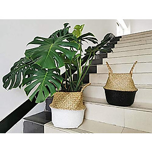DOKOT Seagrass Belly Basket with Handles Natural Woven Planter Baskets for Indoor Plants Storage Laundry (Black 8 inch D x 9 inch H)