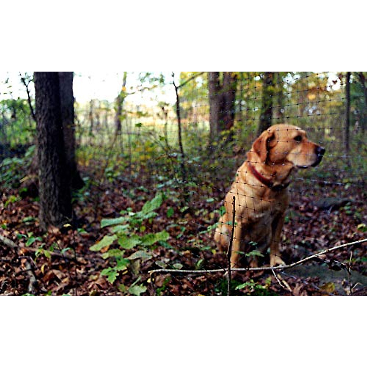 Tenax 2A140075 Pet Fence Select Pet Fence, Black, 4' x 330'