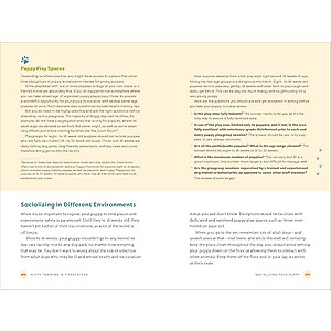 Puppy Training in 7 Easy Steps: Everything You Need to Know to Raise the Perfect Dog