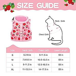 BINGPET Cat Harness with Leash Escape Proof - Fashionable Mesh Cat Dog Walking Harness Leads, Adjustable for Kitties Puppies Small Animals