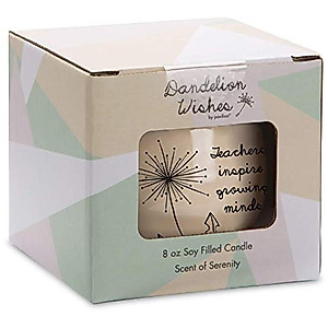 Pavilion Gift Company Teachers Inspire Growing Minds Ceramic Soy Candle