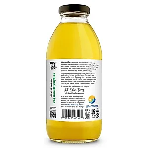 Just Ice Tea Organic Iced Tea, 16 Fl Oz Glass Bottles (Original Green Tea, Pack of 12)