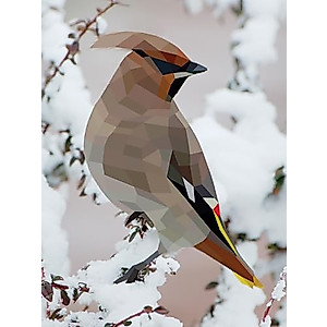 Paint by Sticker: Birds: Create 12 Stunning Images One Sticker at a Time!