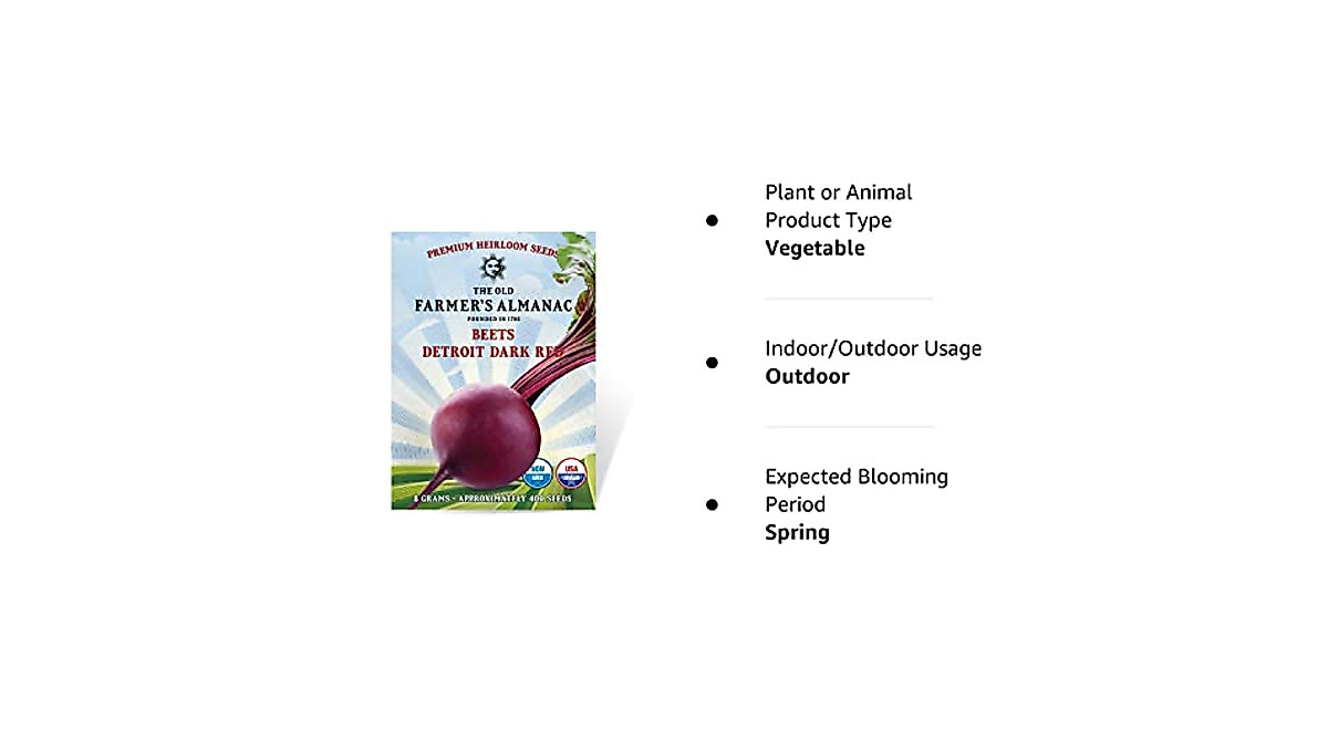 Grow Heirloom Detroit Dark Red Beets - Non-GMO & Fresh Seeds
