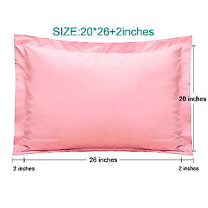 NTBAY Standard Pillow Shams - 2 Pack Brushed Microfiber 20x26 Sham Covers - Super Soft and Cozy, Wrinkle, Fade, Stain Resistant 20x26 Inches Oxford Pillowcases, Pink