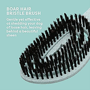 BioSilk for Dogs Eco-Friendly Boar Hair Bristle Brush in Mint Green | Easy to Hold Ergonomic Handle Dog Brush for Shedding | Best Pet Brush for Dog Grooming