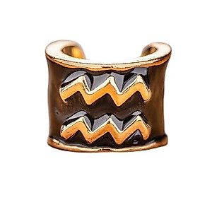 Charmed Stethoscope Charm, Aquarius