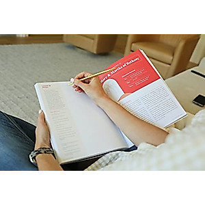 Brave and Beloved: A Bible Study for Women Exploring the Wisdom and Diversity of Women in the Bible