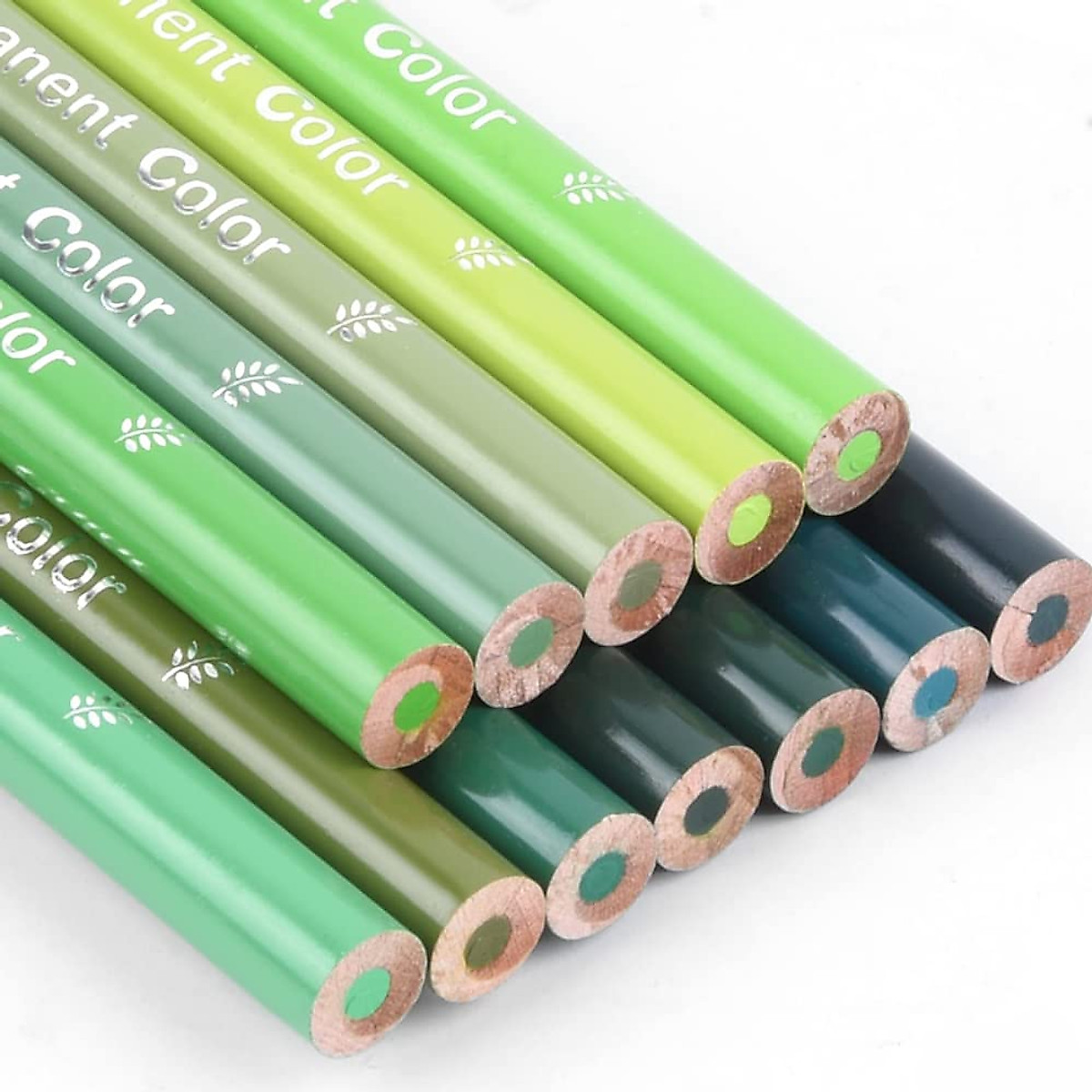 qianshan 12 Green Colored Pencils Oil Based Pre-sharpened Wooden Colored Pencil Set for Adults Coloring Books Drawing Sketching Art Supplies, No Duplicates