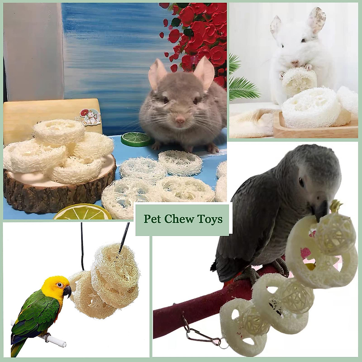 FRTIM Natural Loofah Slices for Soap Making, 20 Pieces Organic Luffa Cuts for DIY Exfoliating Soaps, Homemade Handmade Loofa Soap Supplies