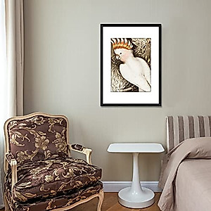 A1 Poster Frame,23.4x33.1 Natural Soild Wood Black Picture Frames with Polished Plexiglass,Easy to Hang,Display Picture A1 without Mat or A2 with Mat for Wall Mounting Horizontally and Vertically