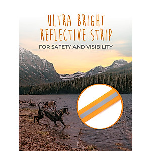 Mighty Paw Waterproof Dog Collar - Smell-Proof Active Gear - Reflective Stripe Coated Nylon Webbing - Dog Swim Collar - Smell Resistant Dog Collar - Dog Collar for All Dog Breeds - (Orange, Medium)