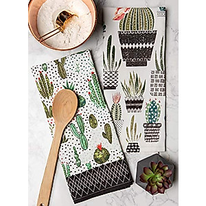 DII Urban Cactus Kitchen Collection, 18x28, Urban Oasis 2 Piece