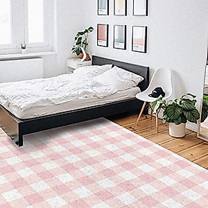 Aomike Indoor Area Rug Doormat- Cute Chic Pink Preppy Buffalo Check Plaid Contemporary Rug for Living Room/Bedroom/Front Porch/Hallway/Farmhouse, 2'x3'