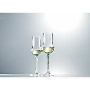 Schott Zwiesel Tritan Crystal Glass Classico Stemware Collection Fruit Brandy/Grappa Cocktail Spirits Glass, Set of 6