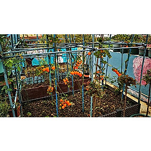 Organic Perlite Horticultural Soil Amendment for Plants and Enhanced Drainage Enhanced Growth (7 Quarts)