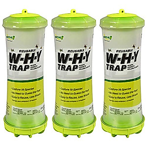 RESCUE! WHY Trap for Wasps, Hornets, & Yellowjackets – Hanging Outdoor Trap - 3 Traps