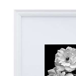 Studio Nova Picture Frame Displays 8 x 10 Photos 16 x 20 Without Mat, White