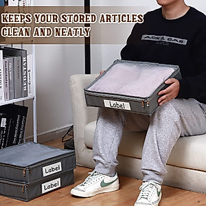 Panelee 6 Pcs 14 x 12 x 3 Inch Sweater Storage Bags Easy Gliding Zippered Sweater Bag Sweater Organizer Closets Under the Bed Zippered Storage Bags with Label Pocket to Avoid Dust Dirt (Gray)