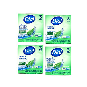 Dial Mountain Fresh Antibacterial Deodorant Bar Soap 3, 4 oz Soap Bars (Packs of 4)