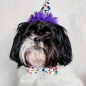 Huxley & Kent Bow Tie for Pets | Happy Barkday (Small) | Birthday Velcro Bow Tie Collar Attachment | Fun Bow Ties for Dogs & Cats | Cute, Comfortable, and Durable | H&K Bow Tie