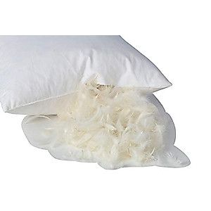 L' COZEE Premium Feather and Down Pillow Insert, Decorative Throw Stuffer Inserts, Hypoallergenic, Cotton Cover, White (17x17)'