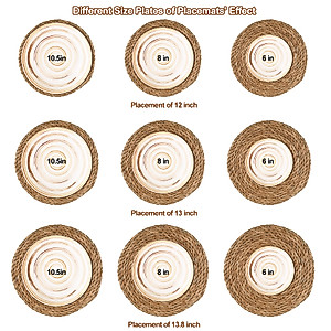 Round Woven Placemats Set of 10, 12" Boho Rattan Placemats Natural Hand-Woven Water Hyacinth Placemats, Farmhouse Weave Place Mats, Rustic Braided Wicker Table Mats for Dining Table,Home,Wedding