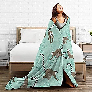 Delerain Flannel Blanket Cute Lemurs Lightweight Cozy Bed Blanket Soft Throw Blanket fits Couch Sofa Suitable for All Season 60"x80" for Kids Women Men