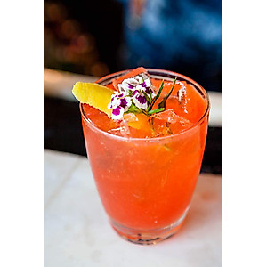 Bormioli Rocco Nadia Double Old Fashioned Glass, Set of 4