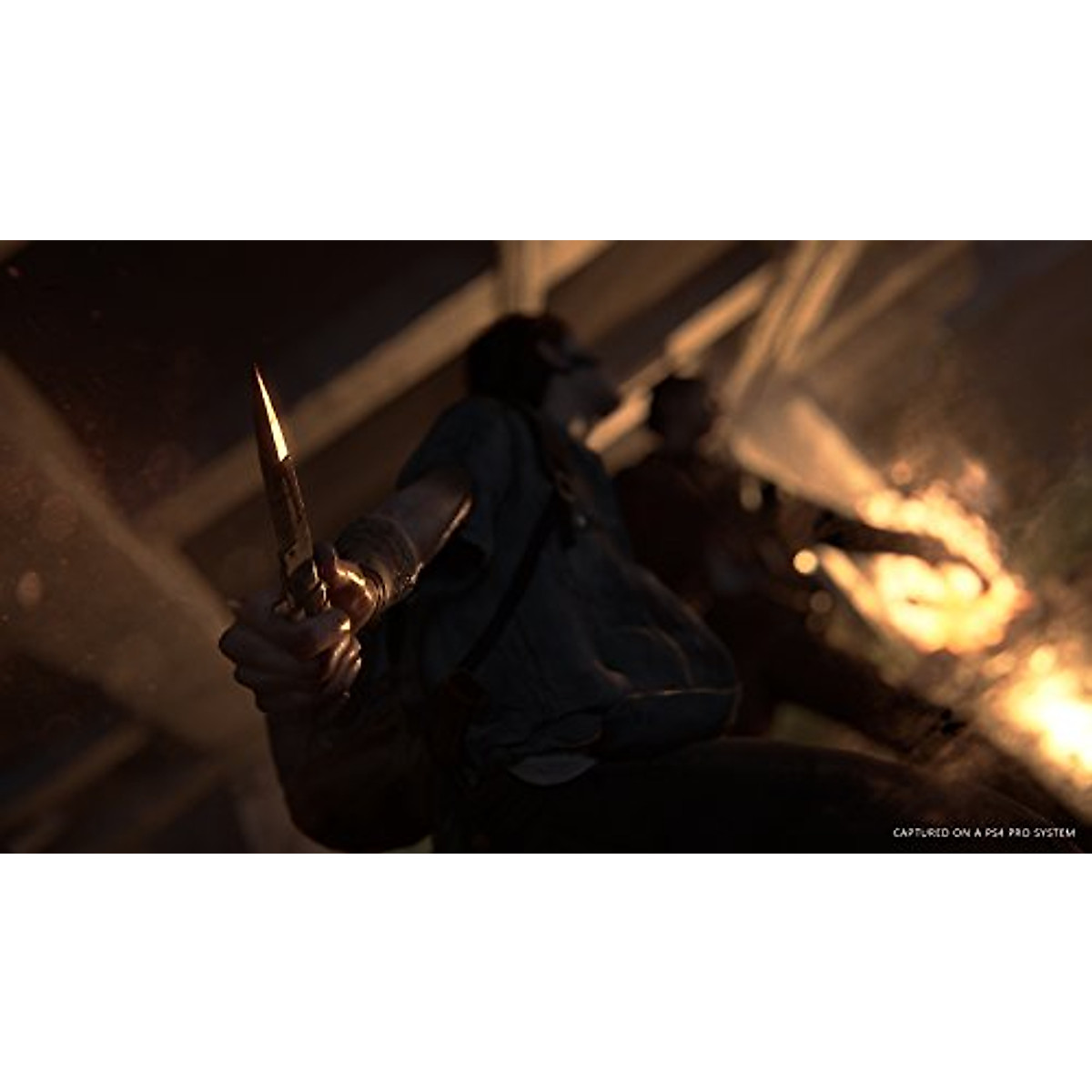 The Last of Us Part II Collector's Edition - Playstation 4 Collectors Edition