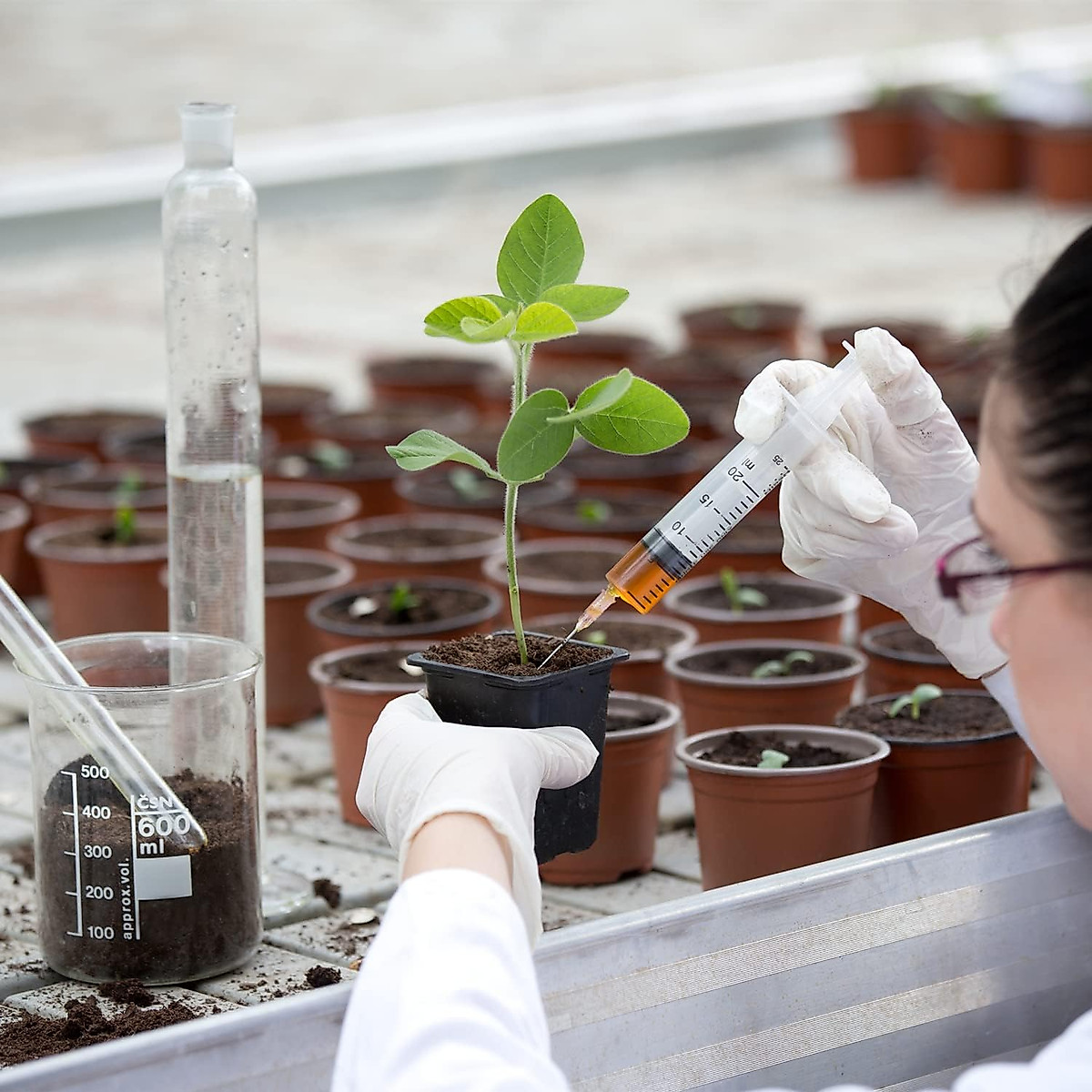 23 Gauge 5/8 Inch Dispensing Lab Supplies Individually Sealed Wrapped - 100 Pack/Box