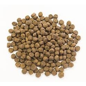 Muenster Grain Free with Salmon – Dry Dog Food or Mixer with Fish Protein - Complete and Balanced Kibble for Large, Medium or Small Breed Dogs, 4 lb