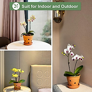 6 inch Terracotta Orchid Pots with Holes and Saucers, 3 Pack Clay Orchid Planter Pots for Repotting, Small Terra Cotta Orchid Pot, Plant Flower Pots for Orchid Indoor Outdoor Promotes Air Circulation