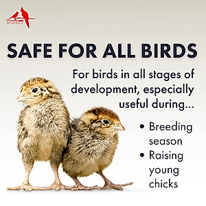 Morning Bird Breeders Blend, Fertility Supplement Formula, High Protein, Vitamins, Minerals, and Amino Acids (0.5 oz)