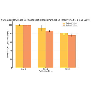 Magnetic Beads for DNA Purification, 100-1000 Base Pairs Range