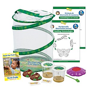 Butterfly Garden with Two Live Cups of Caterpillars - Includes Both English and Spanish Butterfly STEM Activity Journals