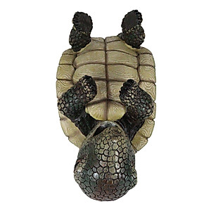 Ebros Gift Drunken Coastal Sea Turtle Tortoise Wine Bottle Holder Caddy Figurine As Home Kitchen Wine Cellar Decorative Storage Organizer Wild Aquatic Animals Turtles Terrapins Tortoises Decor