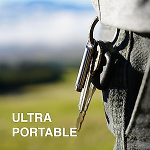 DAILYCARRYCO. TiPick Titanium Toothpick Keychain Holder - Portable Metal Travel Toothpick - Reusable EDC Micro Toothpick - Compact & Convenient - Carry On-the-Go - Titanium Construction, Merlot