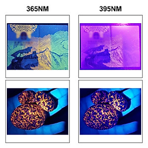 EOWCO UV Flashlight 365nm & 395nm, Ultraviolet Black Light Flashlights, Handheld Zoomable Blacklight Torch Wood's Lamp, Detector for Pet Urine Dry Stains, Resin Curing, Rocks, Scorpions Finder